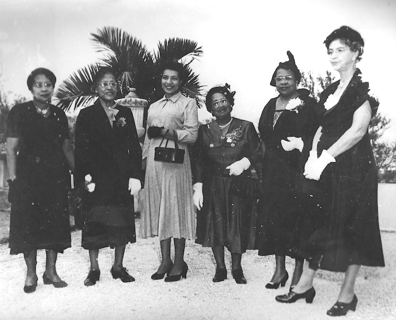 Biography | Alice Scott